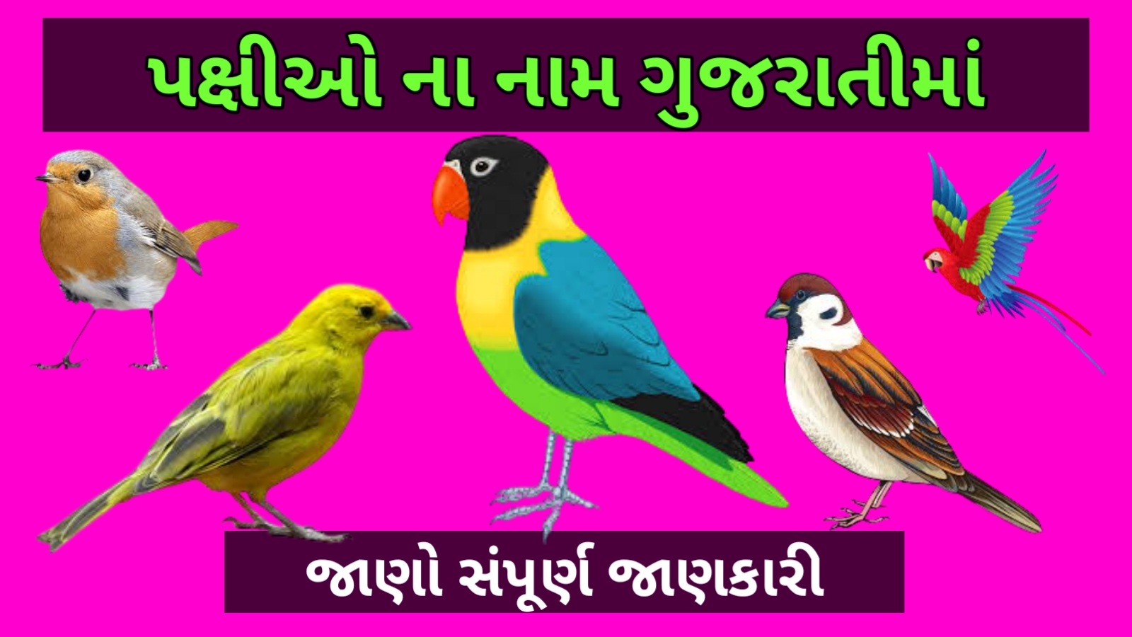 પક્ષીઓ ના નામ ગુજરાતીમાં | Birds Name In Gujarati » Onlylbc.com