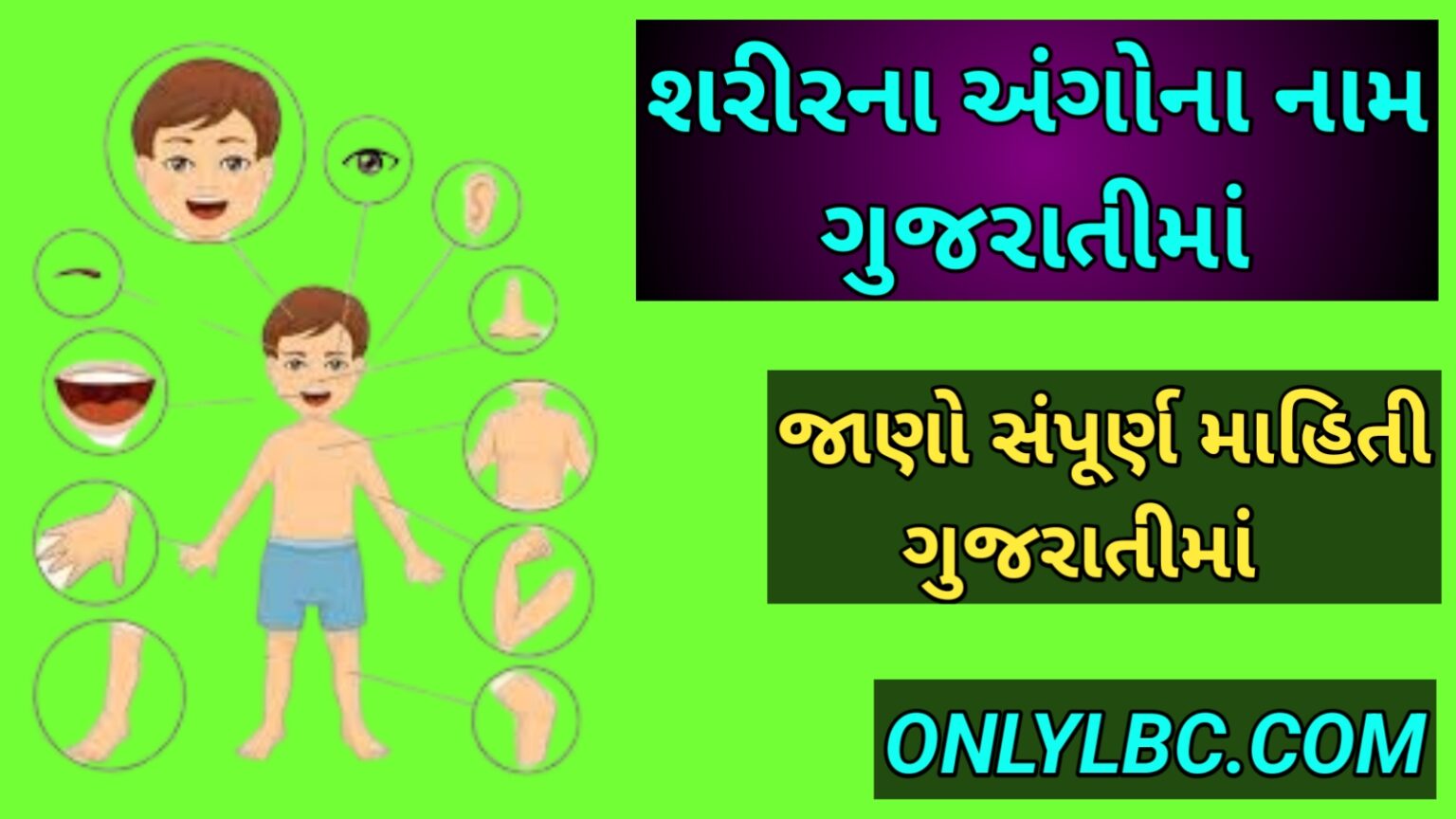 શરીરના અંગોના નામ ગુજરાતી માં | Body Parts Names In Gujarati » Onlylbc.com